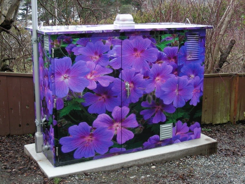 Custom Box Wrap Sign Shop in Victoria, BC