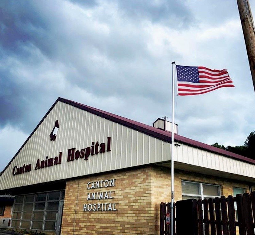 About Us l Canton Animal Hospital | Canton, Mississippi