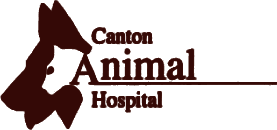About Us l Canton Animal Hospital | Canton, Mississippi