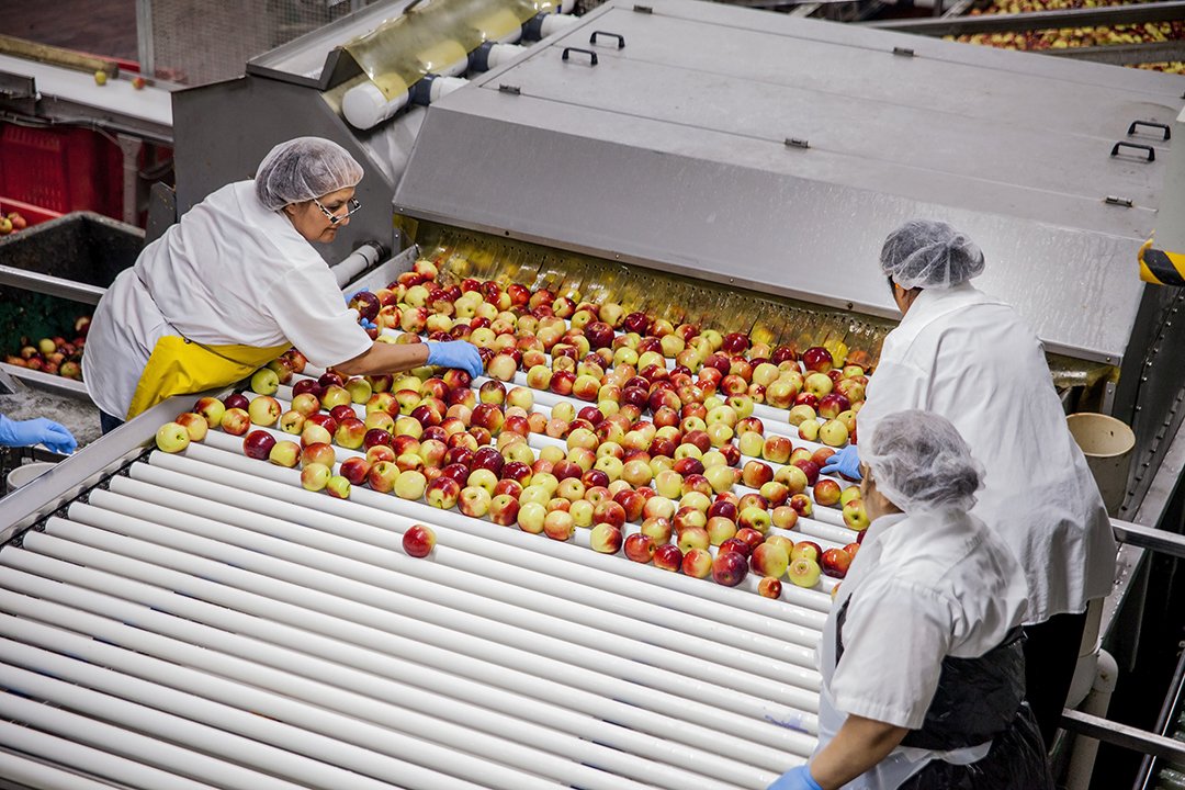 Martin’s Family Fruit Farm