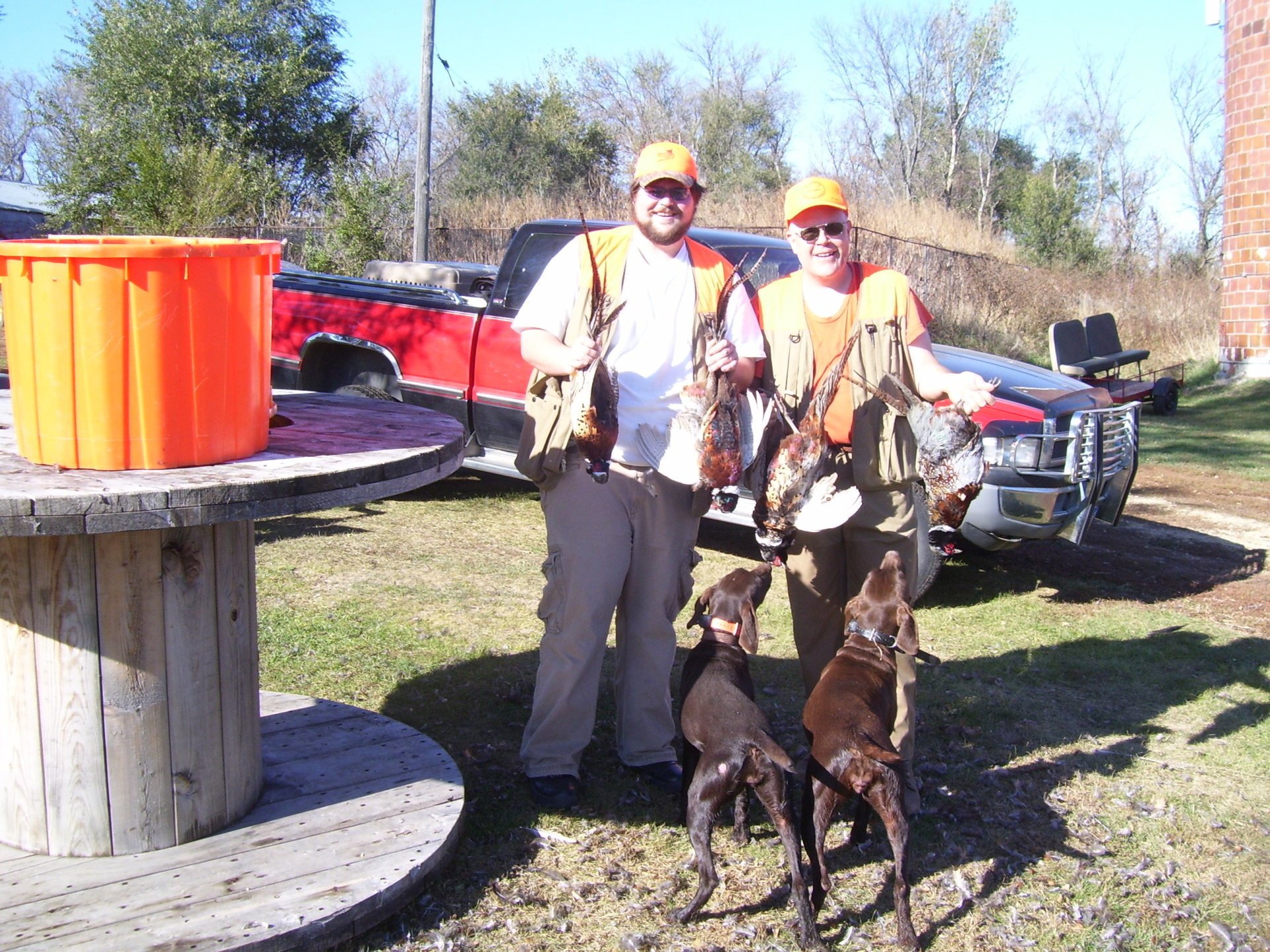 Pheasant Hunting Photos