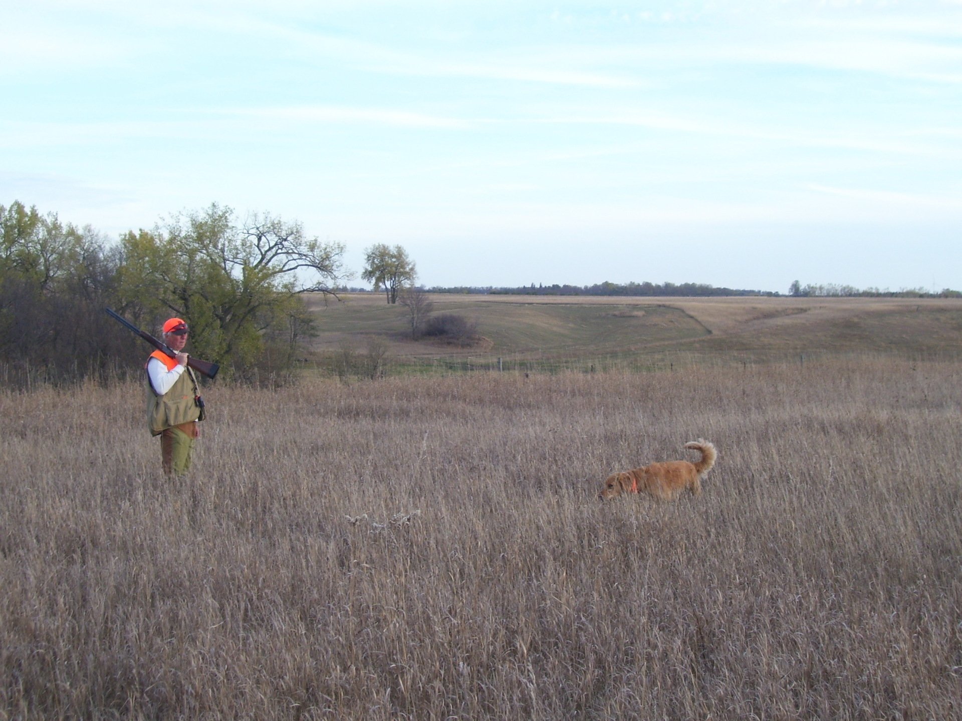 Pheasant Hunting Photos