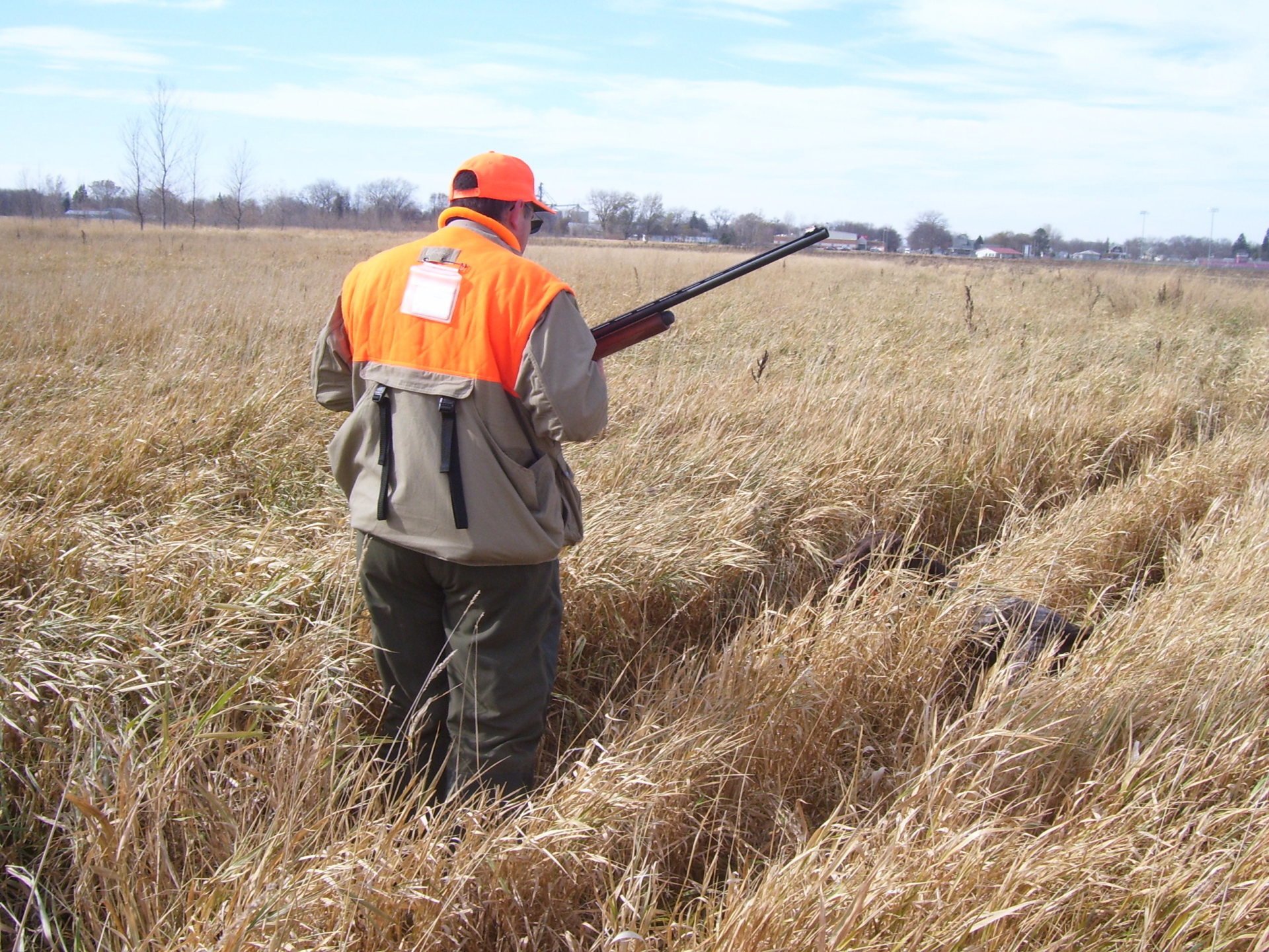 Pheasant Hunting Photos