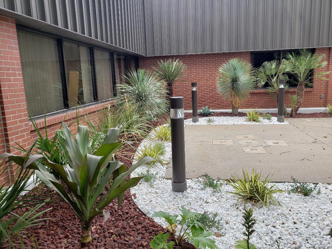 Landscaping | Dallas, TX | Texas Palm Trees and Irrigation LLC