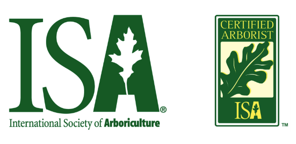 Home [www.haulingashtree.com]