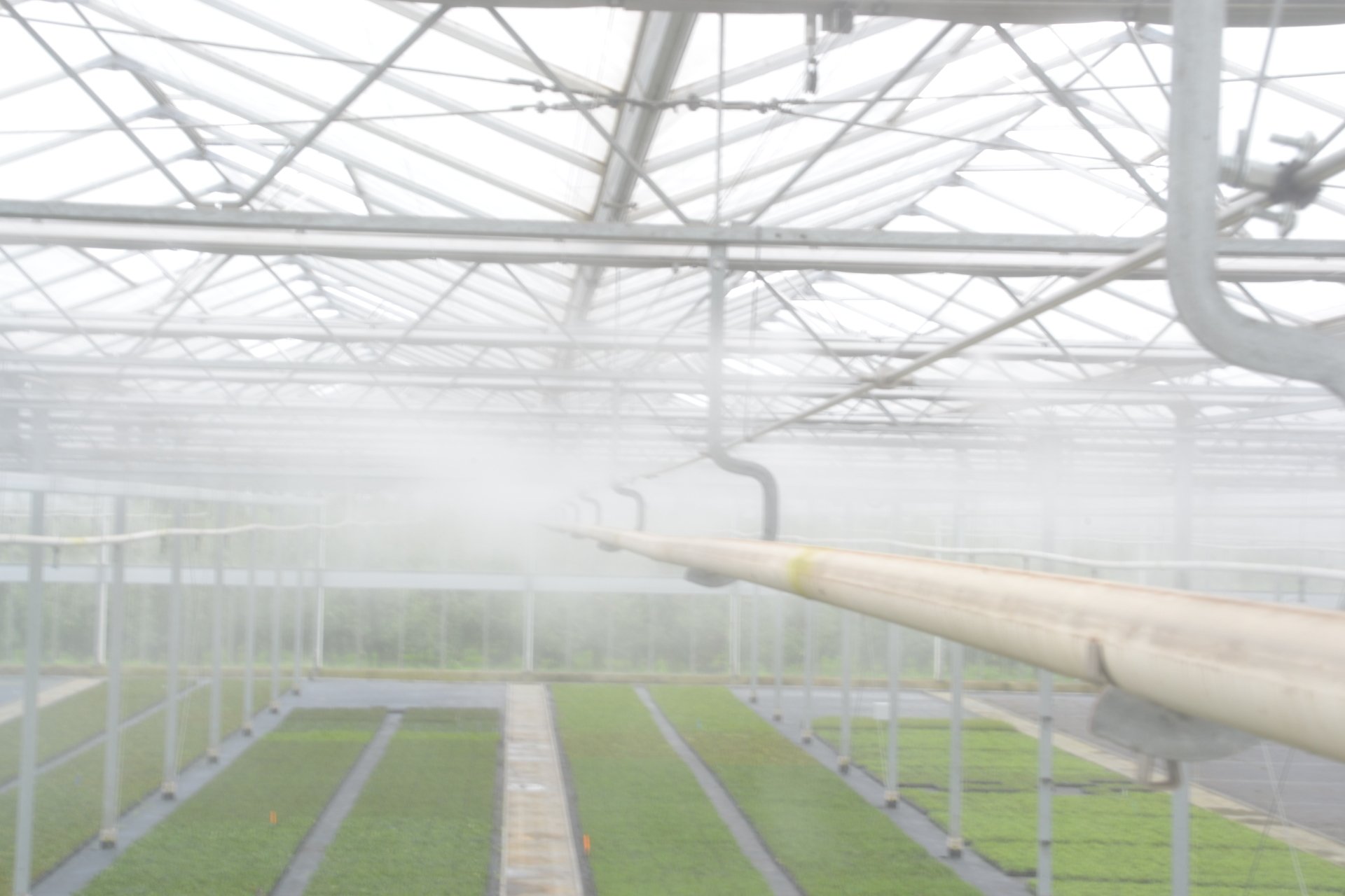 Nevel - Bedrijf | J.A.C. Cuttings