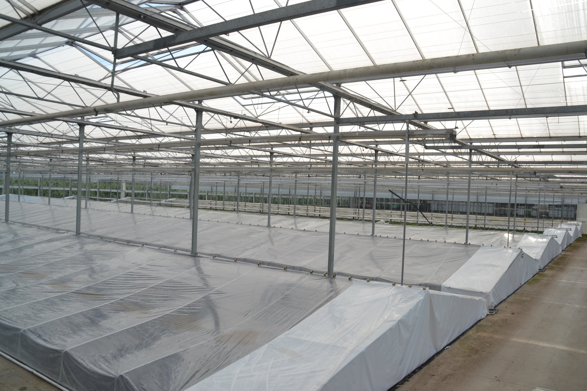 Kas - Bedrijf | J.A.C. Cuttings