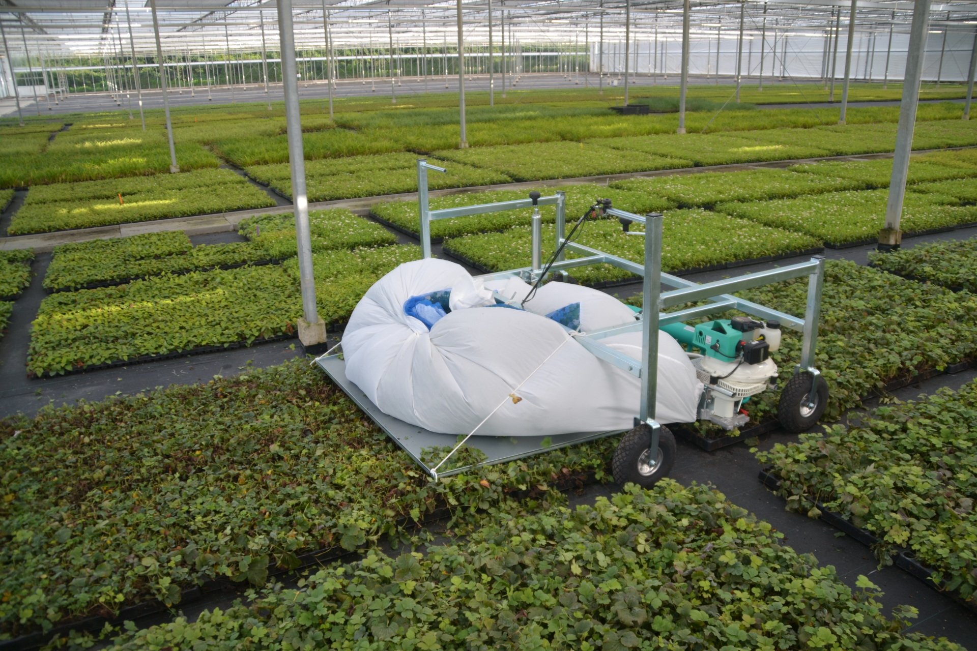 Pruning machine - Company | J.A.C. Cuttings