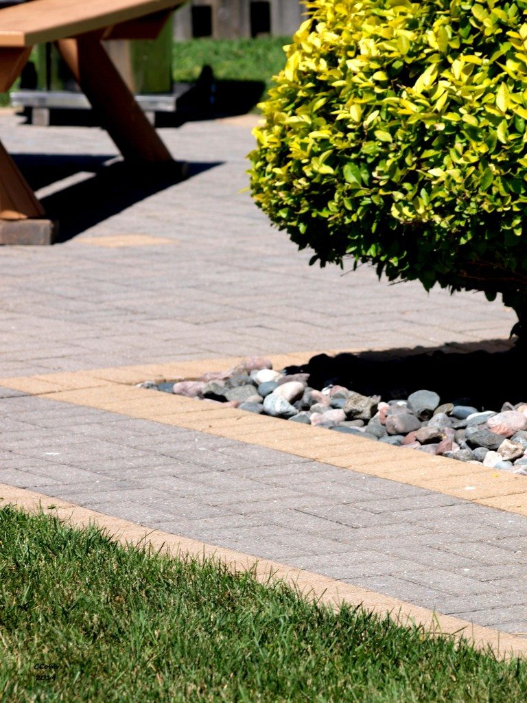 Jason Thompson Landscaping and Design LLC - Free Soil, MI - Photo Gallery