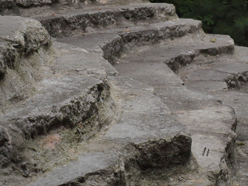 Jason Thompson Landscaping and Design LLC - Free Soil, MI - Photo Gallery