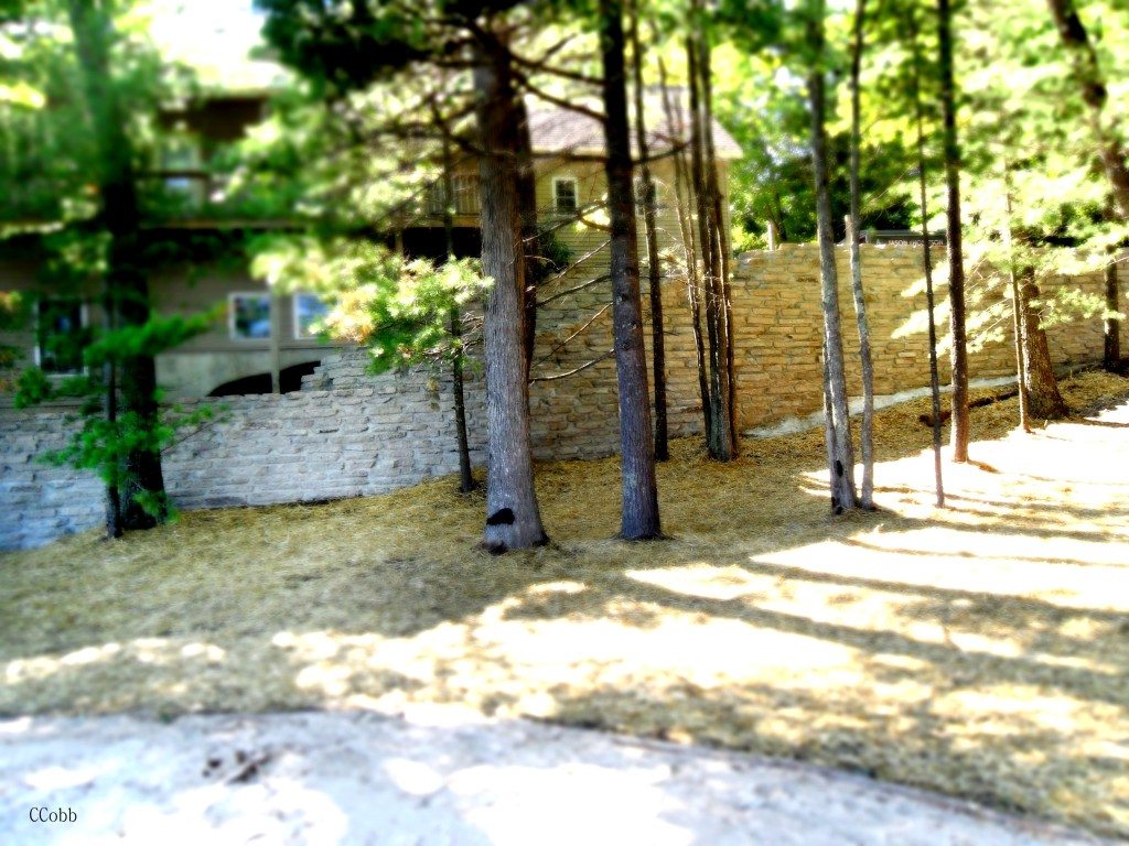 Jason Thompson Landscaping and Design LLC - Free Soil, MI - Photo Gallery