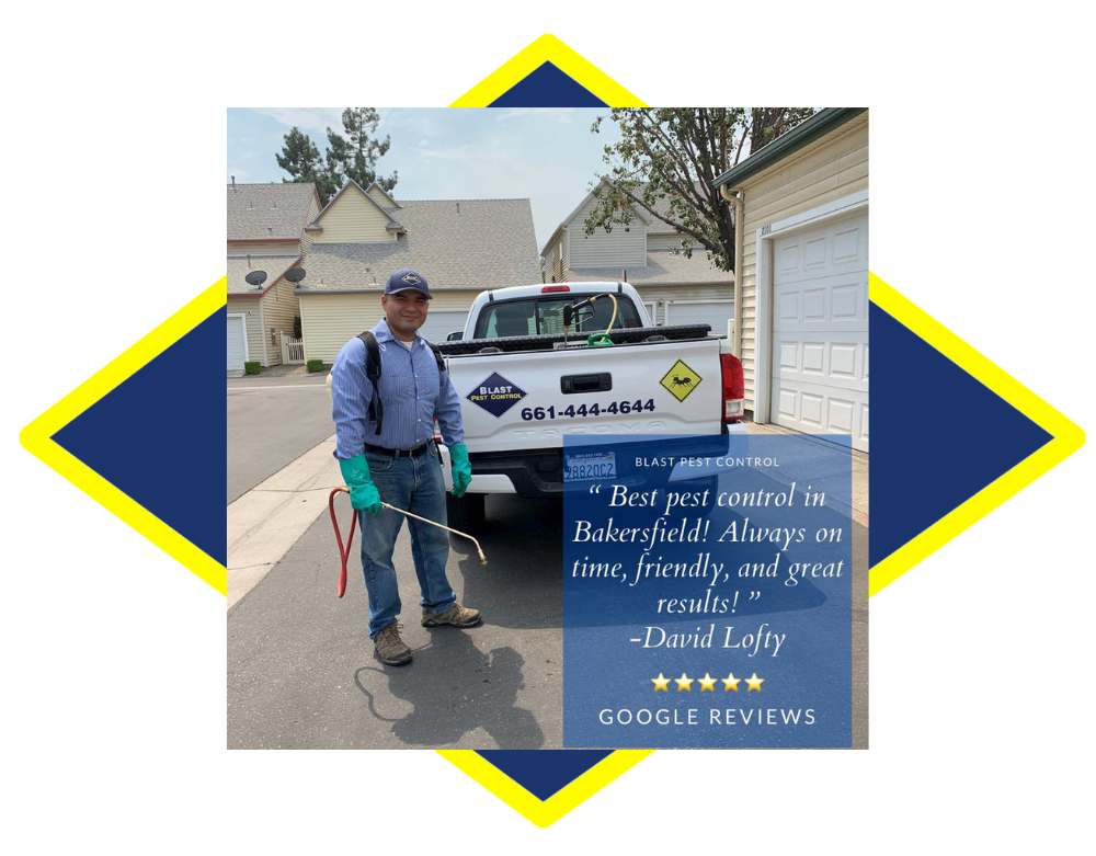 Bakersfield CA's Most-Trusted Pest Control