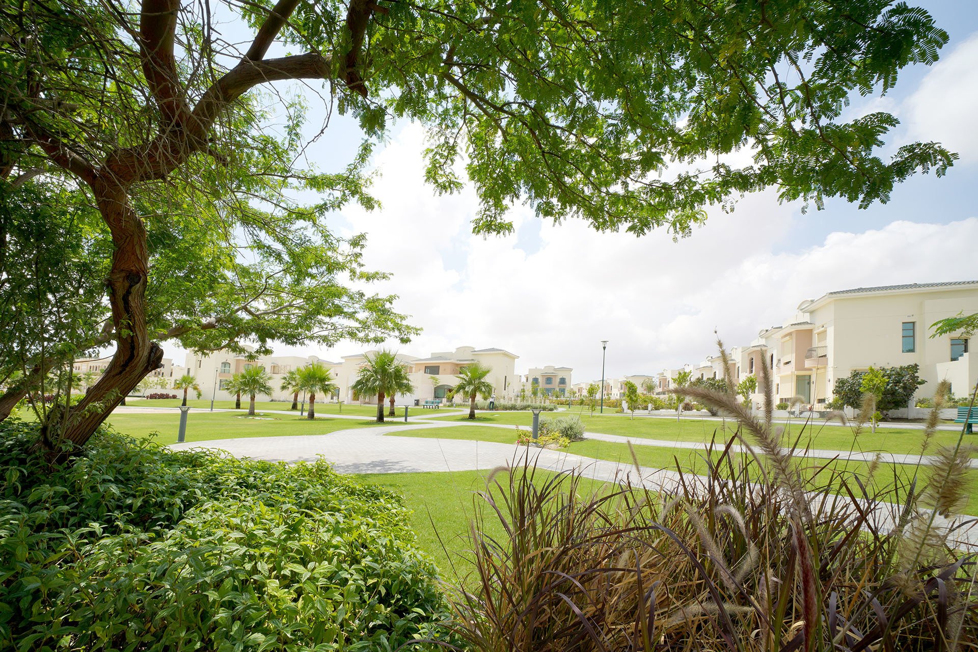 Home [www.riffaviews.com]