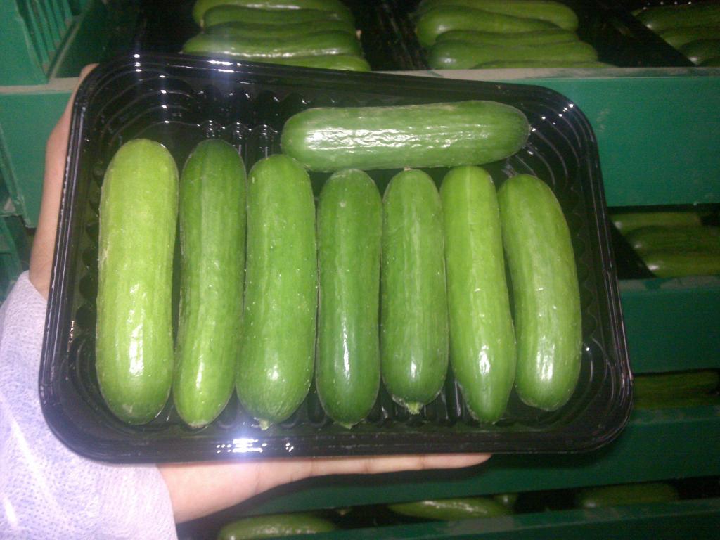 Productos - FRUTAS ALHAMBRA