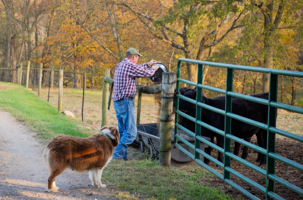 Meet The Family Behind The Farm! | Maplecrest Meats