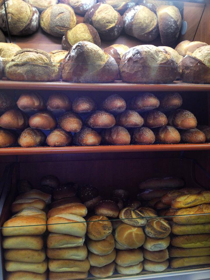 The Best of Little Italy