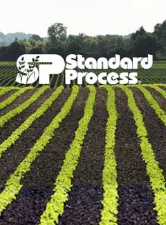 Standard Process NYC from Marc Bystock L.Ac.