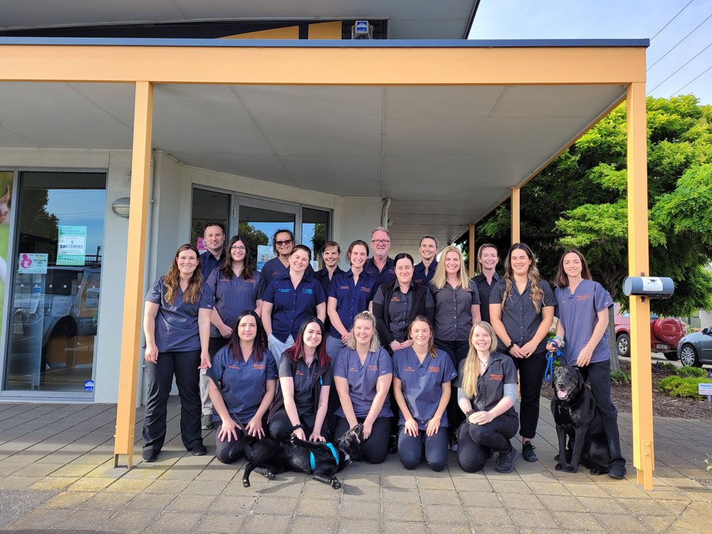 Gallery | Riverport Veterinary Hospital and Victor Central Vets