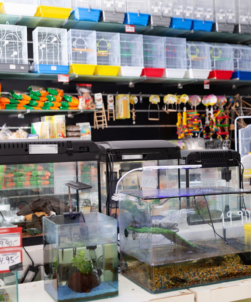 Pet Store & Food | South Orange, NJ | Animal Kingdom