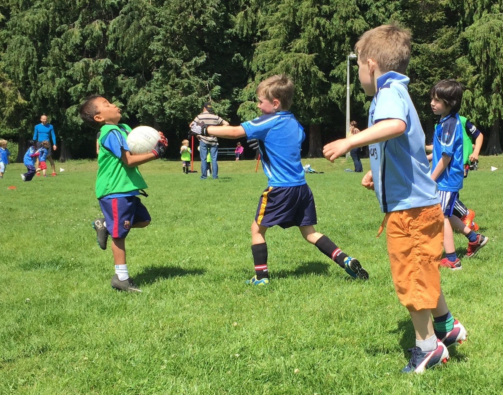 Ranelagh Gaels GAA Club | Academy