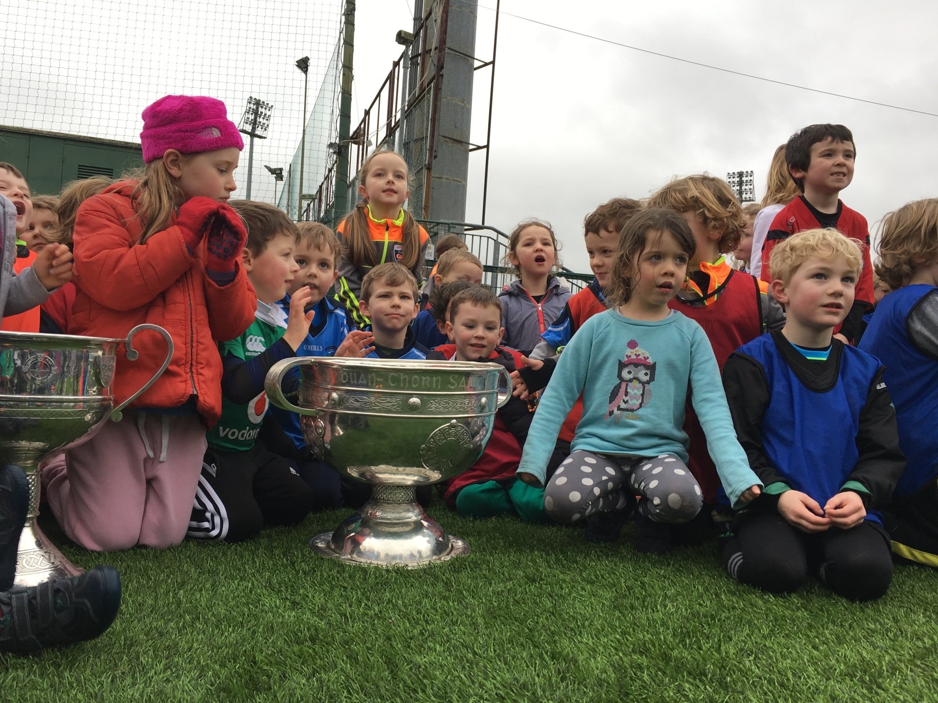 Ranelagh Gaels GAA Club | Juvenile Introduction