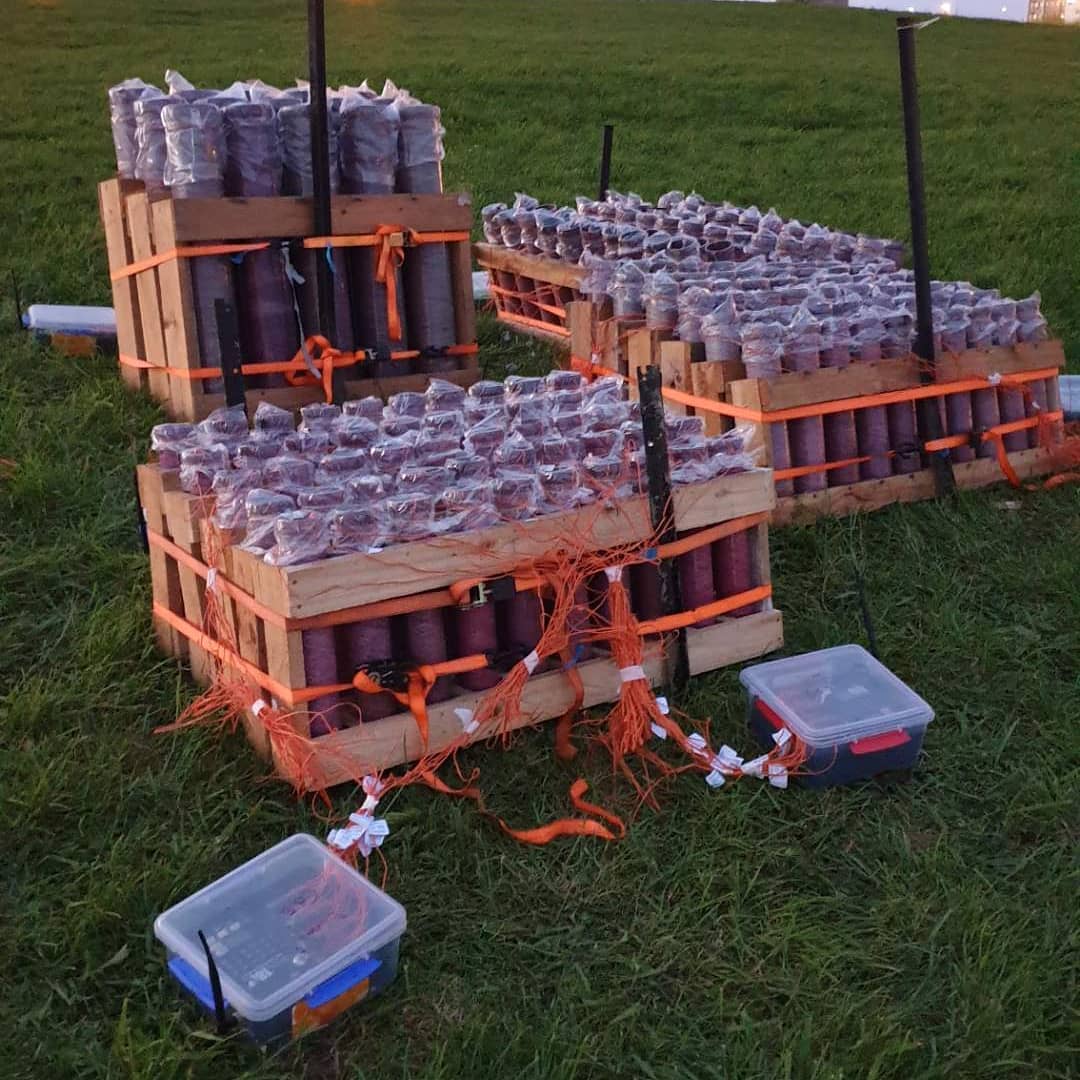 King Country christmas Fireworks display