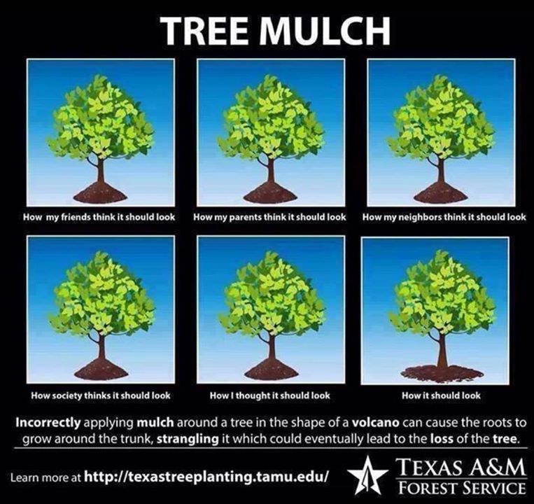 Too Much of a Good Thing: the Story of Mulch Volcanoes