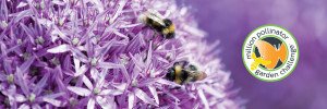Million Pollinator Garden Challenge Toolkit | Horticultural Research ...