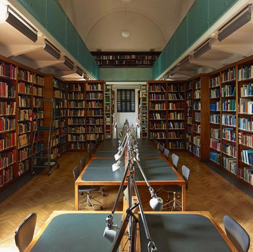 A Scholarship Cut Short: Donna Storey reflects on her time in Rome ...