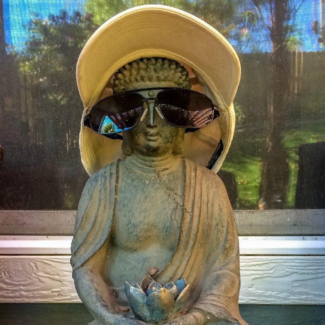 Buddha and Reflection