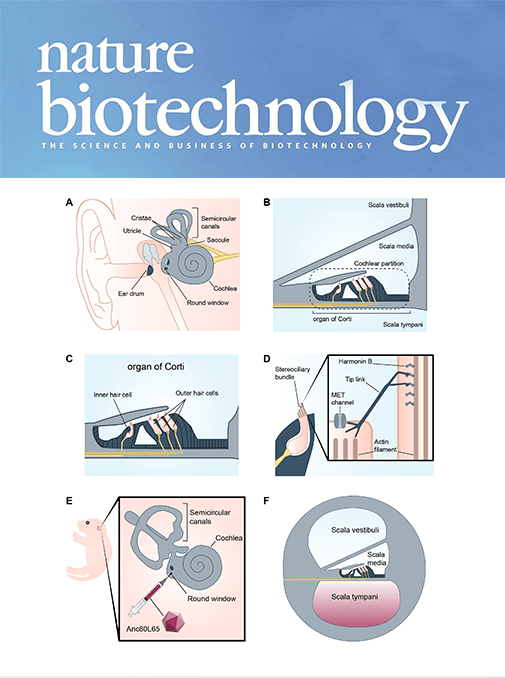 Scientific Illustration and Graphic Design Company | Simplified Science