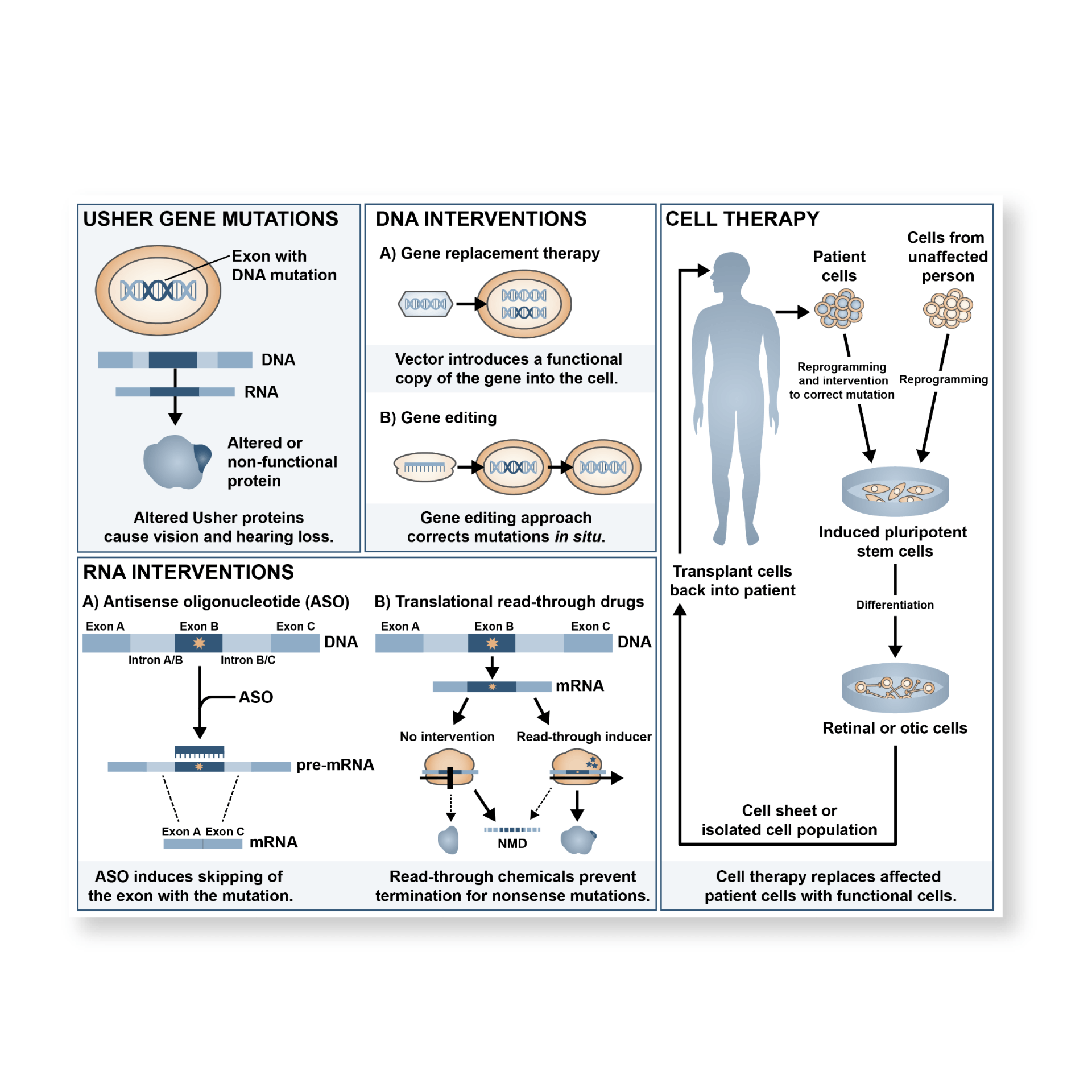 Scientific Graphic Design for Figures, Abstracts & Publications