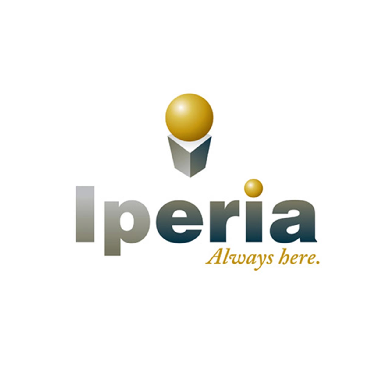 Award winning logo designer and brand management services