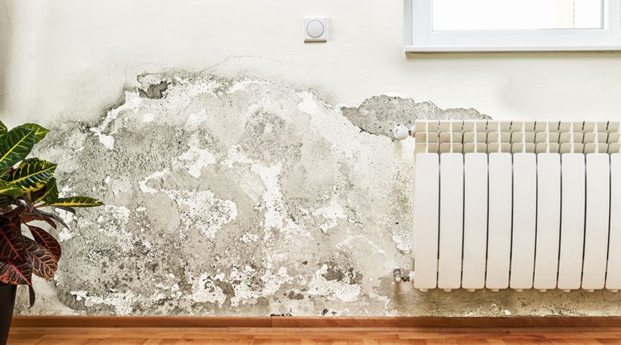 Effective damp proofing treatments for damp walls - Durham