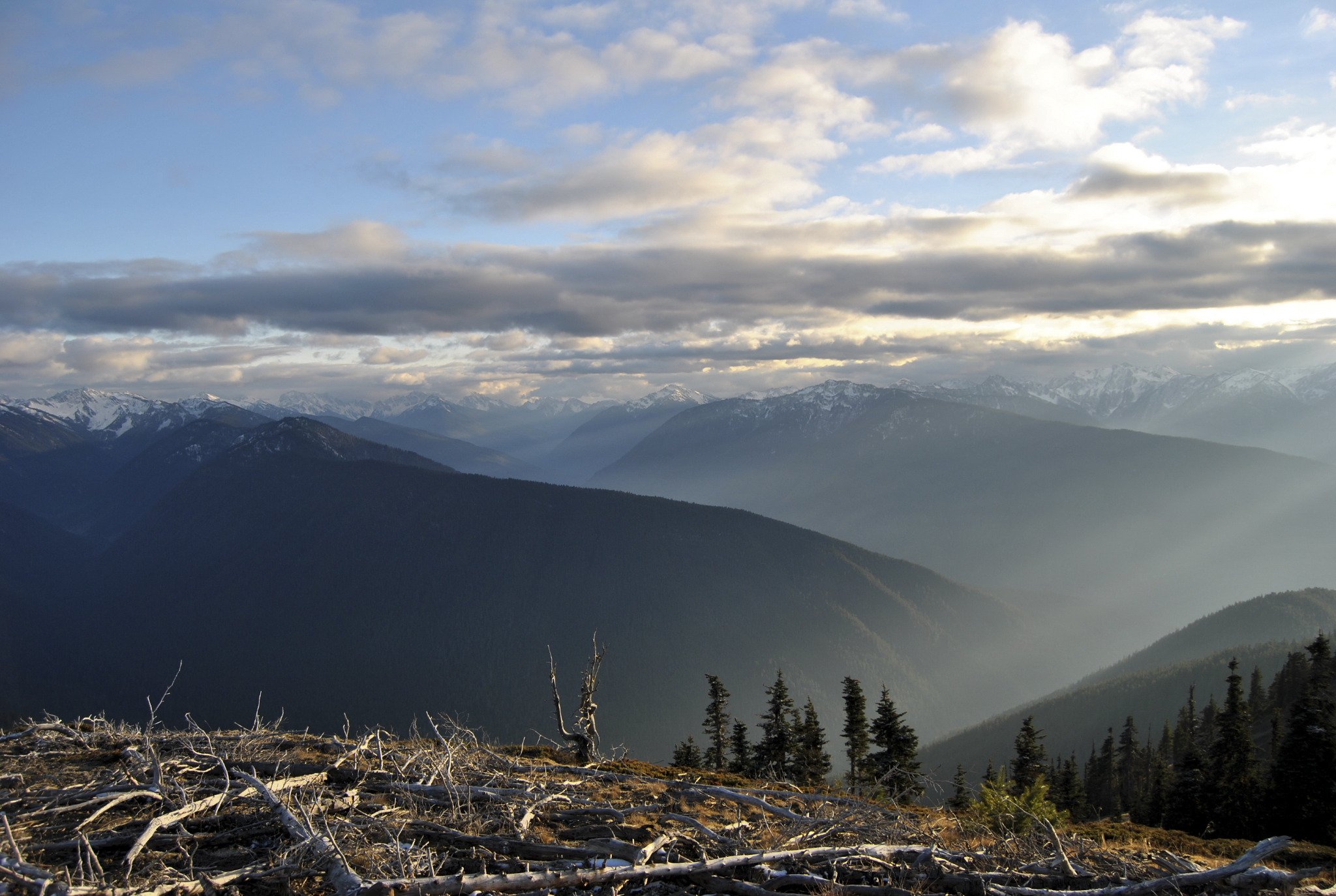 Photography by Craig Crossley