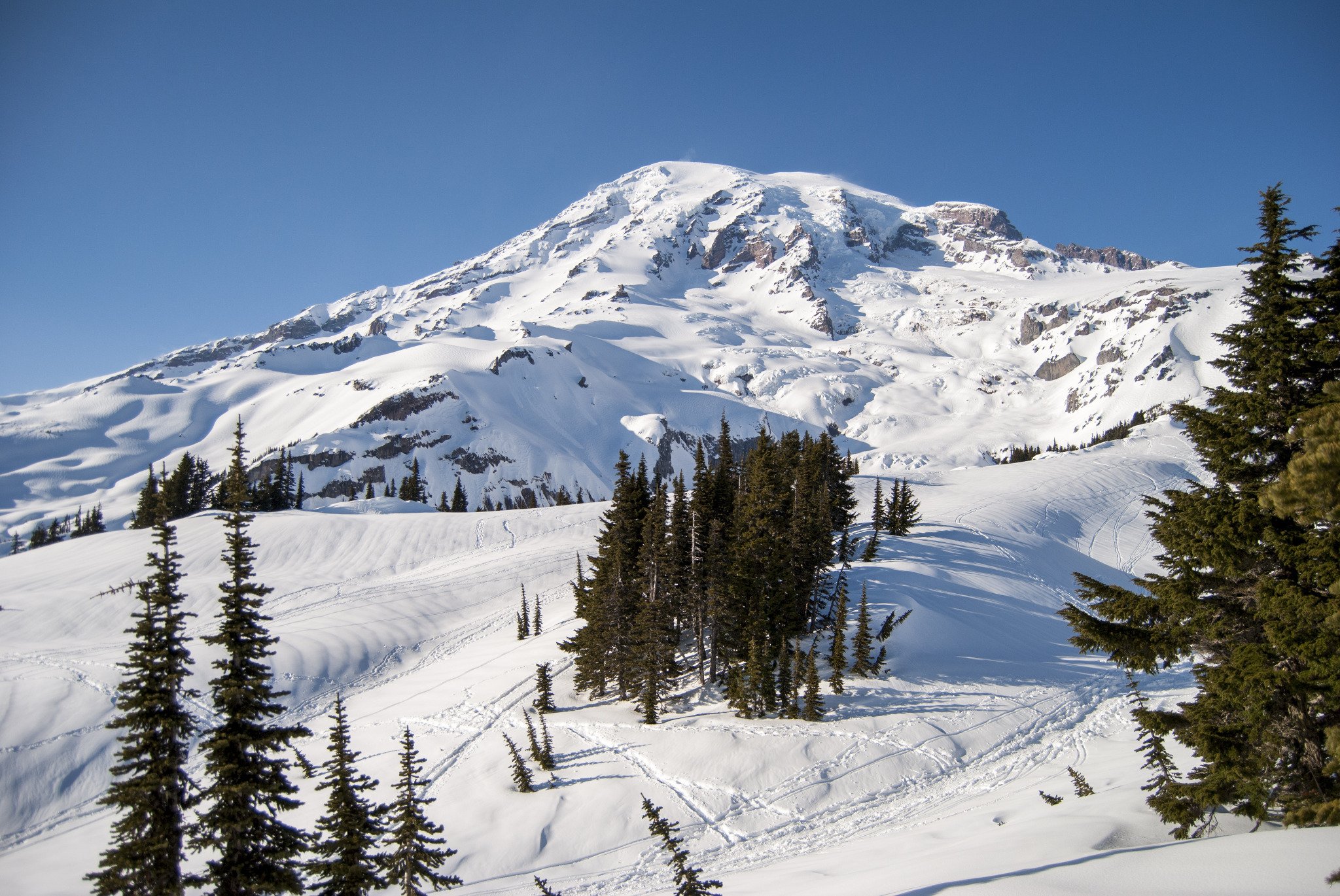 Photography by Craig Crossley