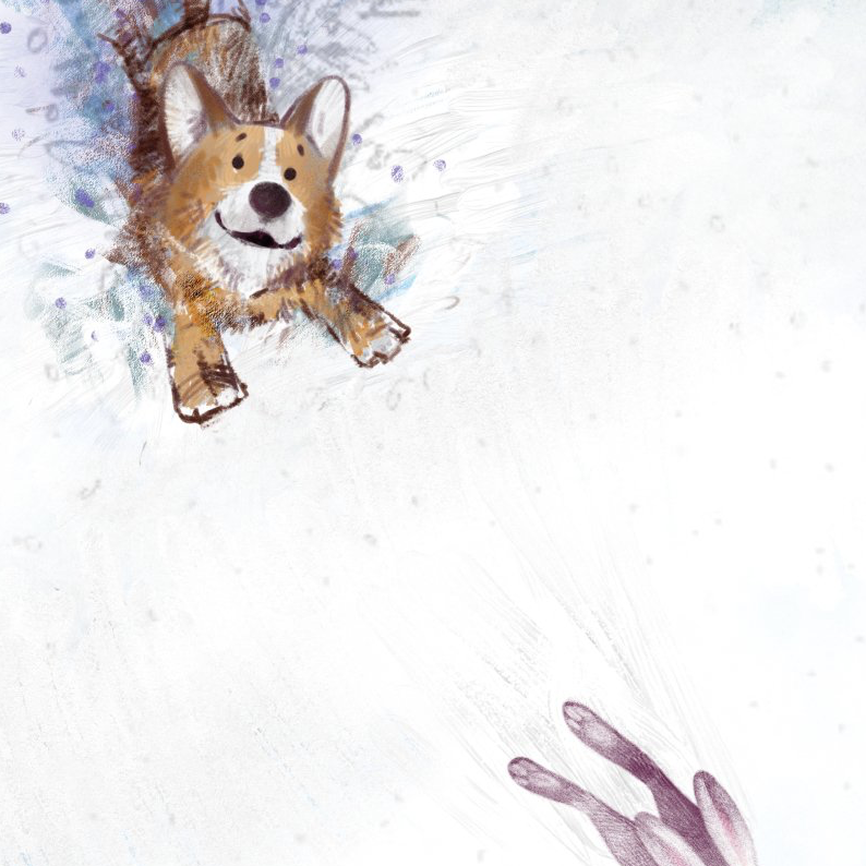 Snow Friends | Children's Book by Will Hillenbrand