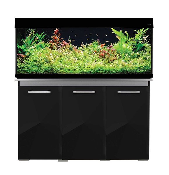 AquaOne aquariums | Farnborough | Lynchford Aquatics