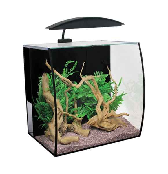 AquaOne aquariums | Farnborough | Lynchford Aquatics