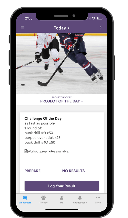 Project Hockey