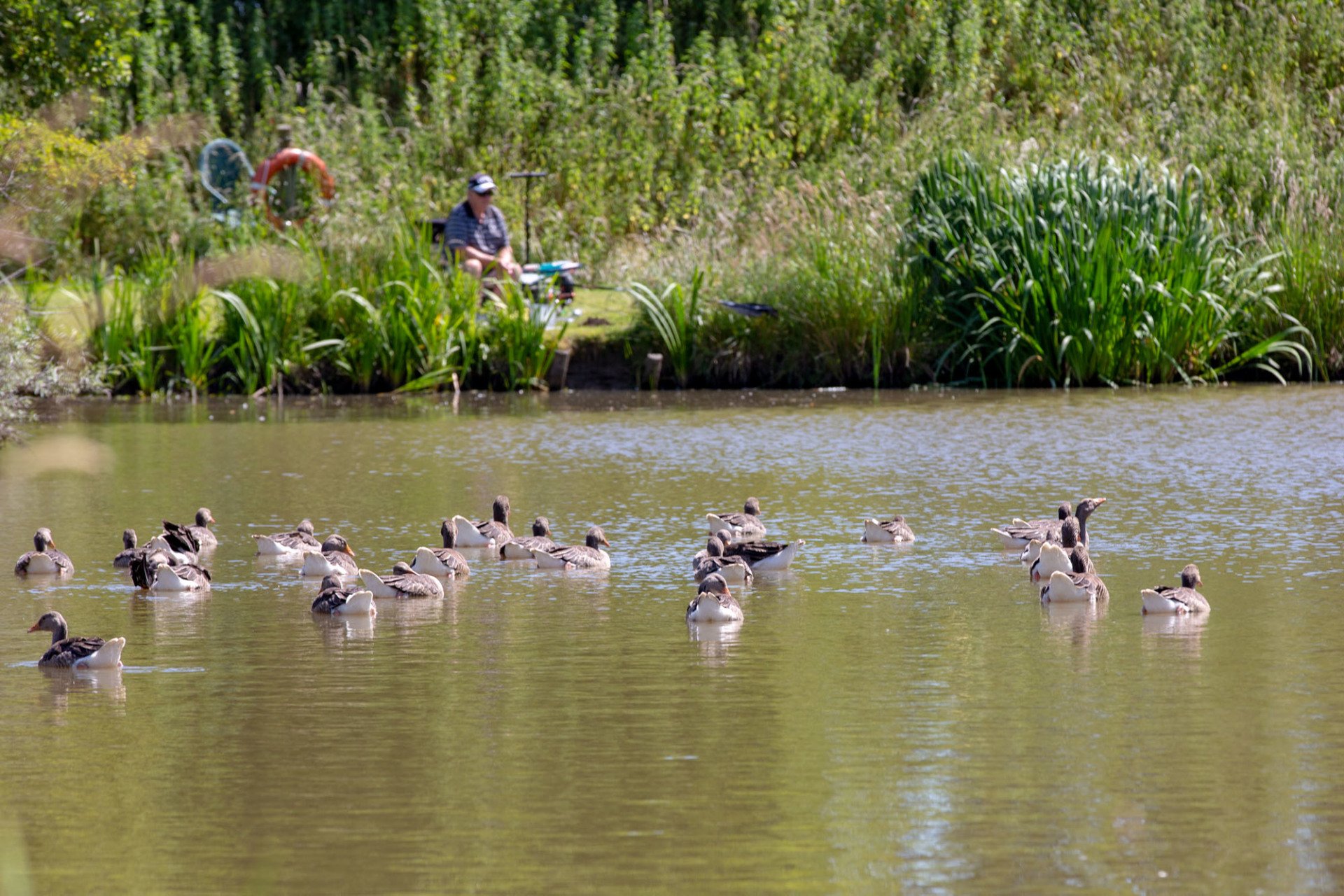 Fishing lakes, Near Moss Farm Caravan Park