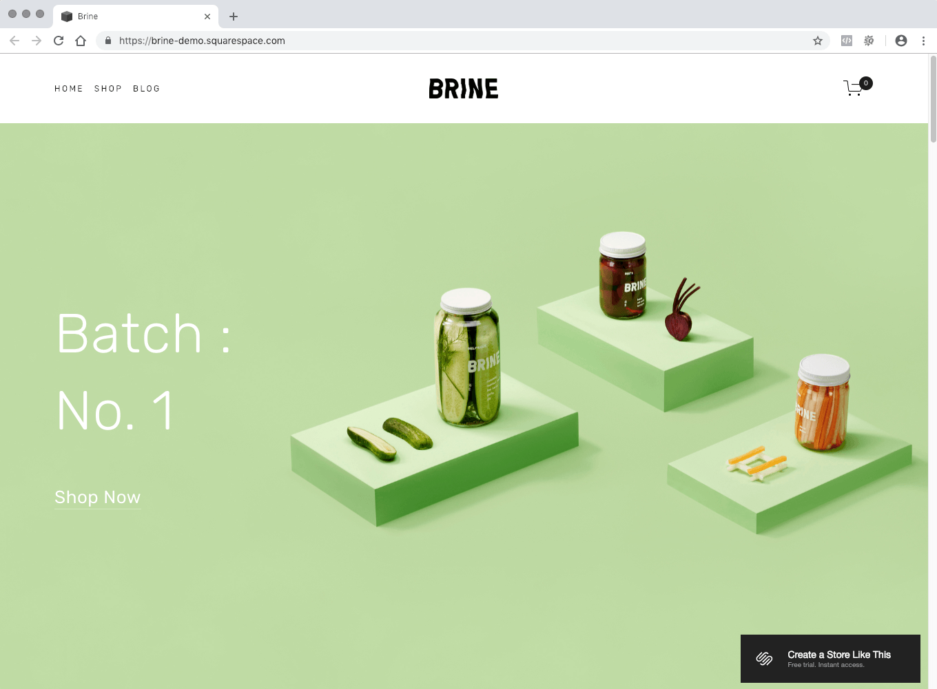 The Ultimate Squarespace Templates Guide For Small Business 10 