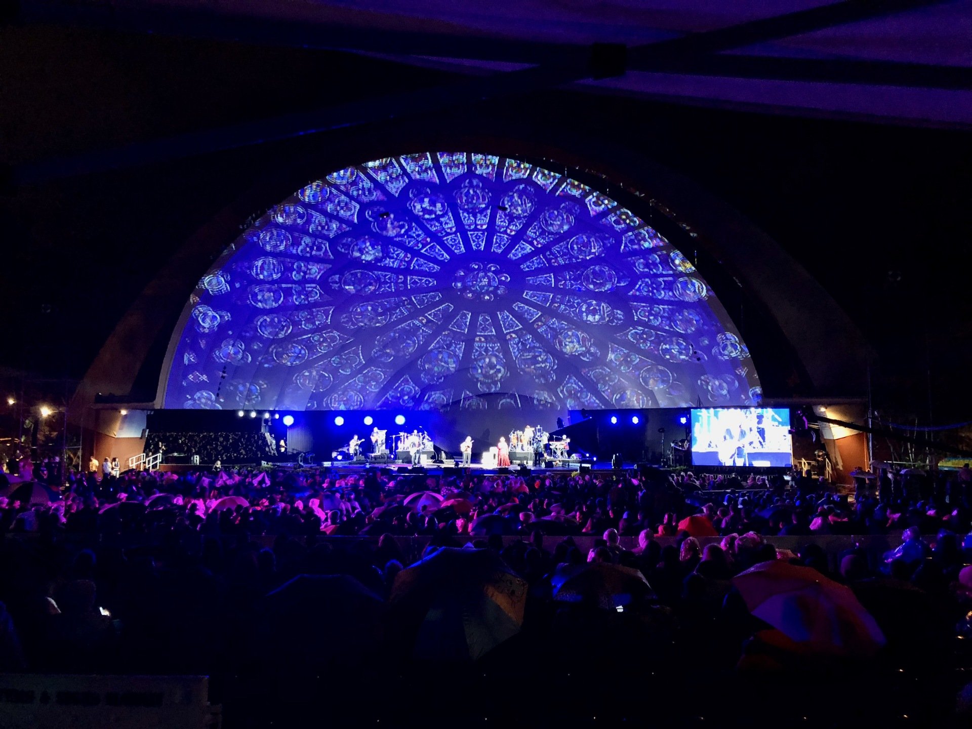 Lighting Experts | Honolulu, HI| Eggshell Light Company