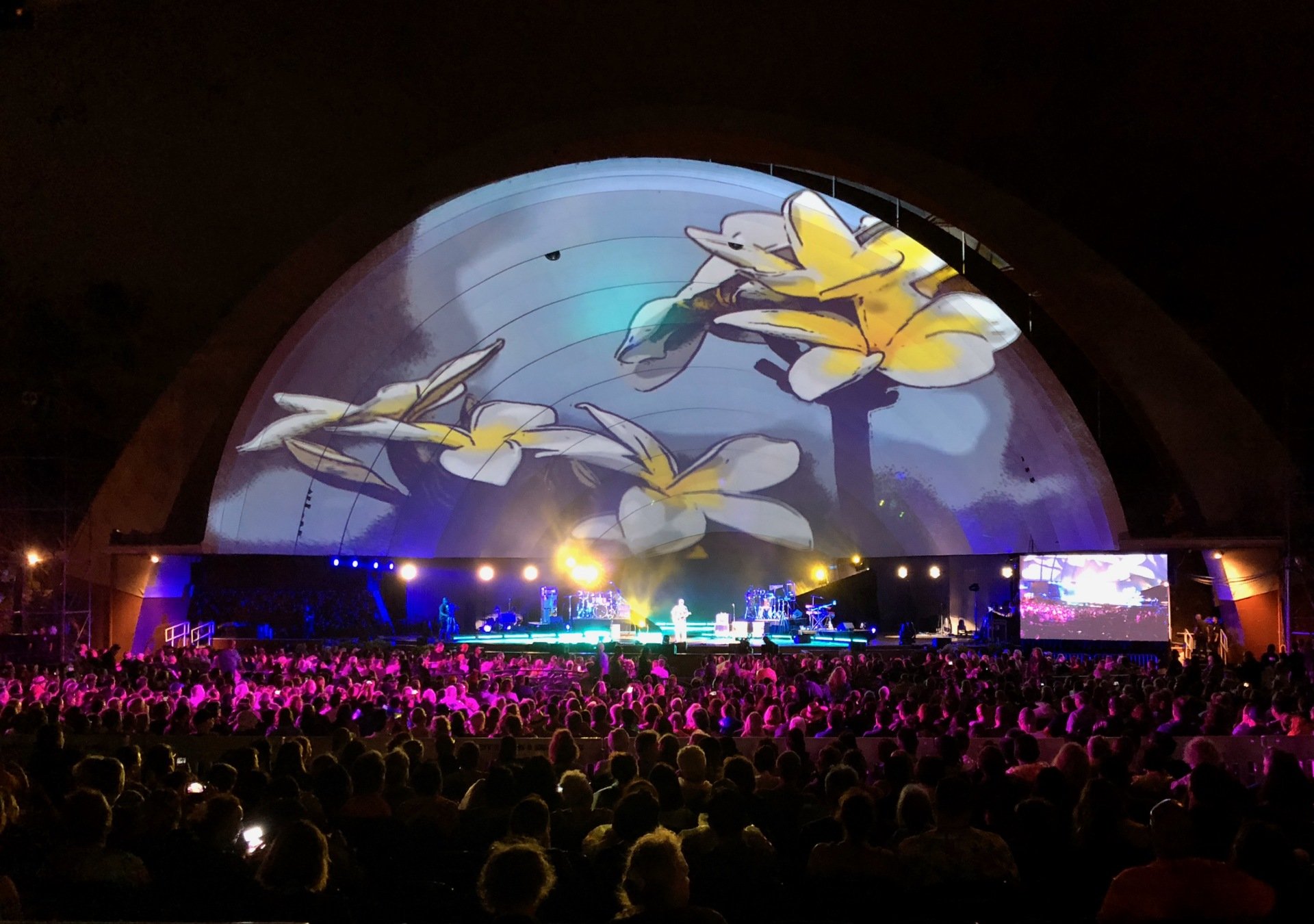 Lighting Experts | Honolulu, HI| Eggshell Light Company