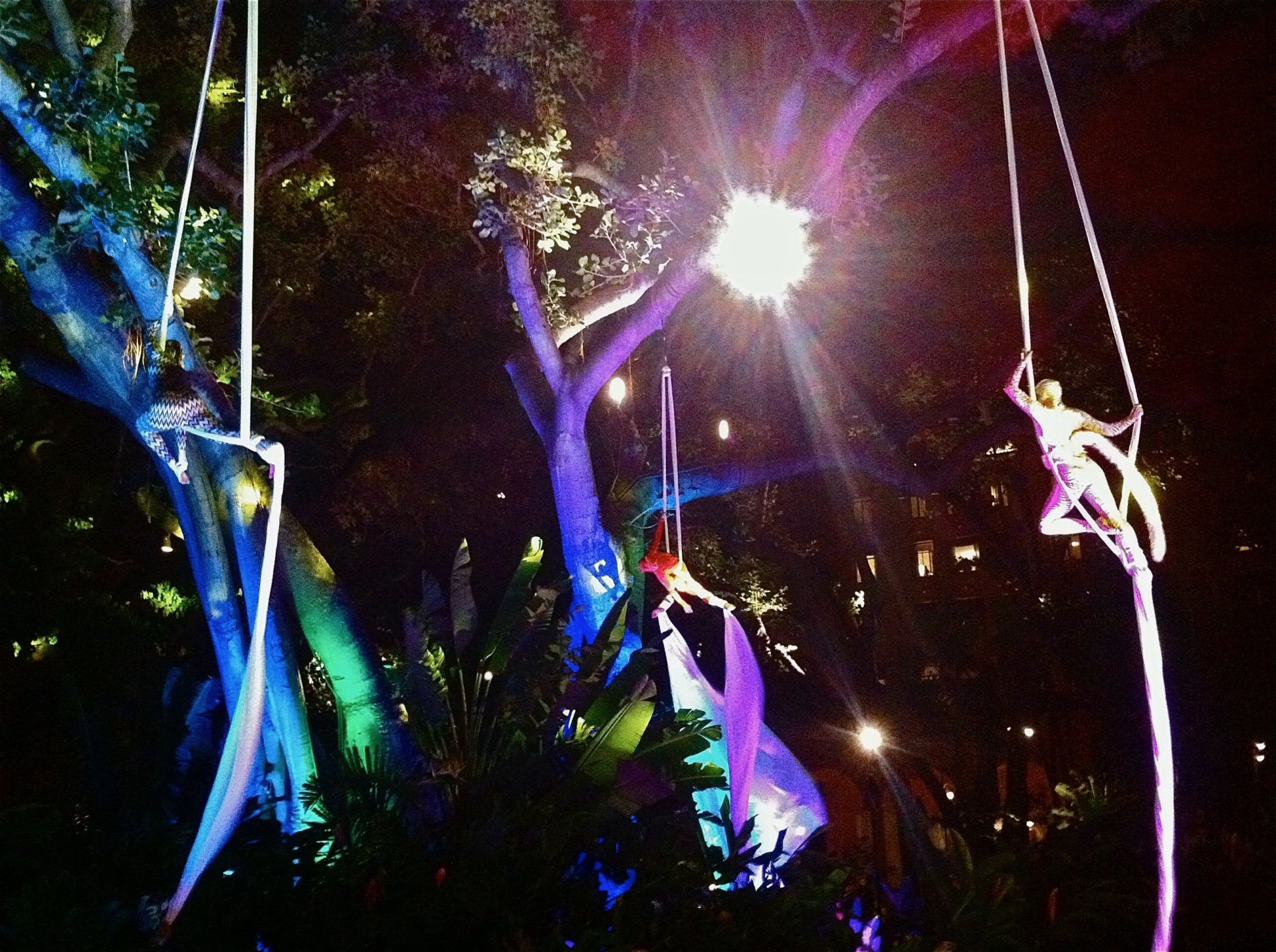 Lighting Experts | Honolulu, HI| Eggshell Light Company