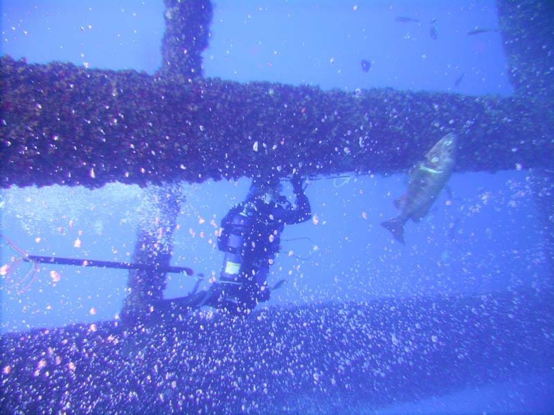 BT Memorial Foundation | Home