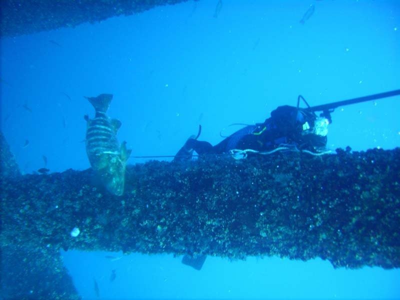 BT Memorial Foundation | Home