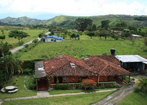 Alcon de Colombia - Nutrición animal