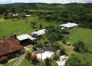 Alcon de Colombia - Nutrición animal