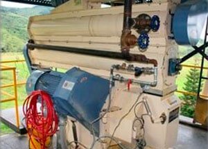 Alcon de Colombia - Nutrición animal